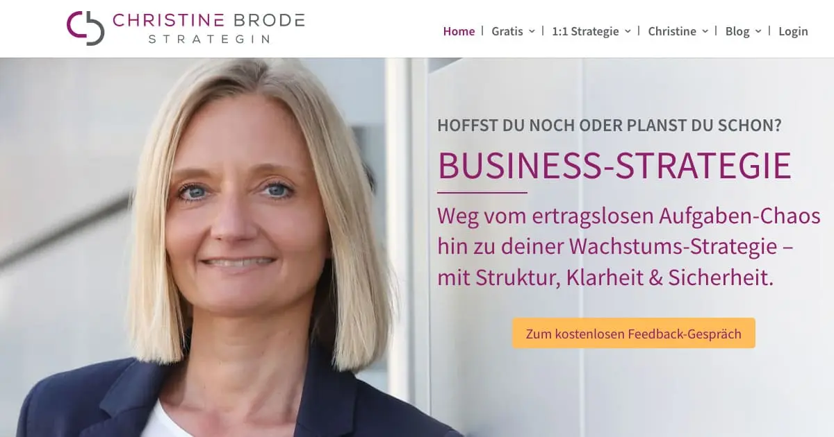 1:1 Business-STRATEGIE Sessions - Christine Brode - Strategin